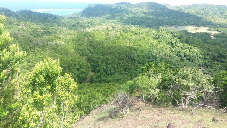 Mago Island - Tropical Islands
