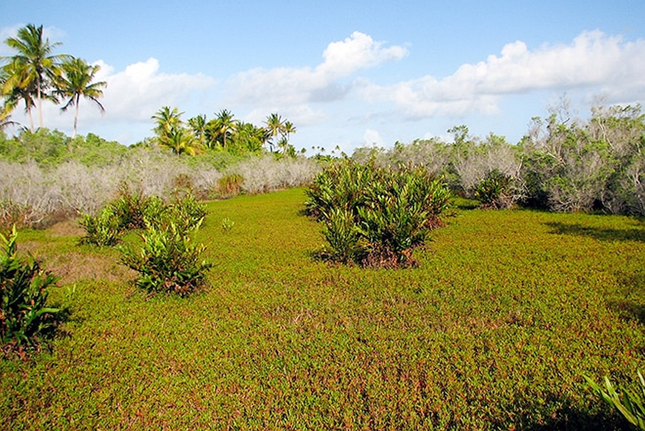 Niau Atoll Gallery - Tropical Islands