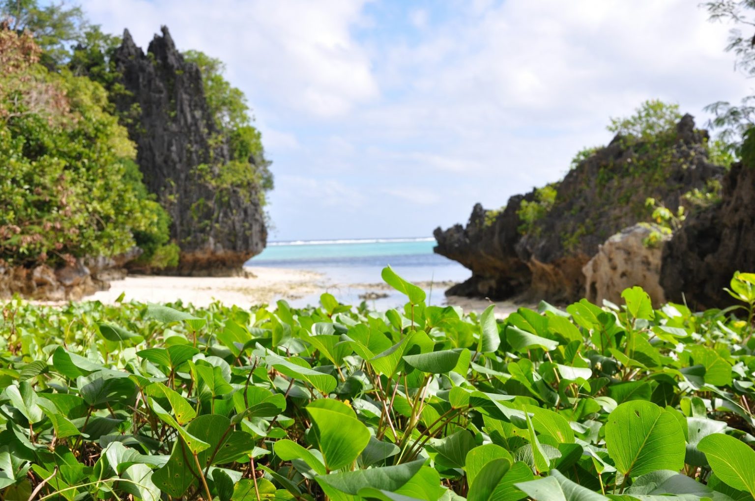 Cicia Island - Tropical Islands