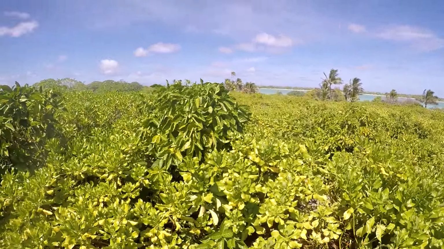 Nikumaroro Atoll - Tropical Islands