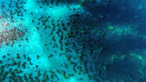 Ducie Atoll - Tropical Islands